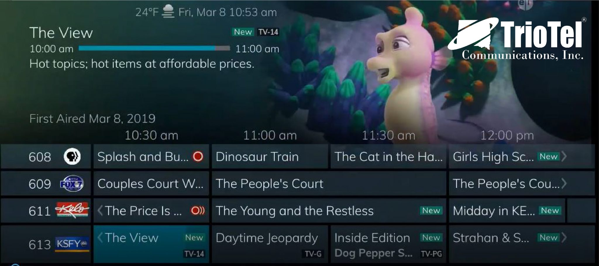 TrioVision Tutorial Videos - TrioTel